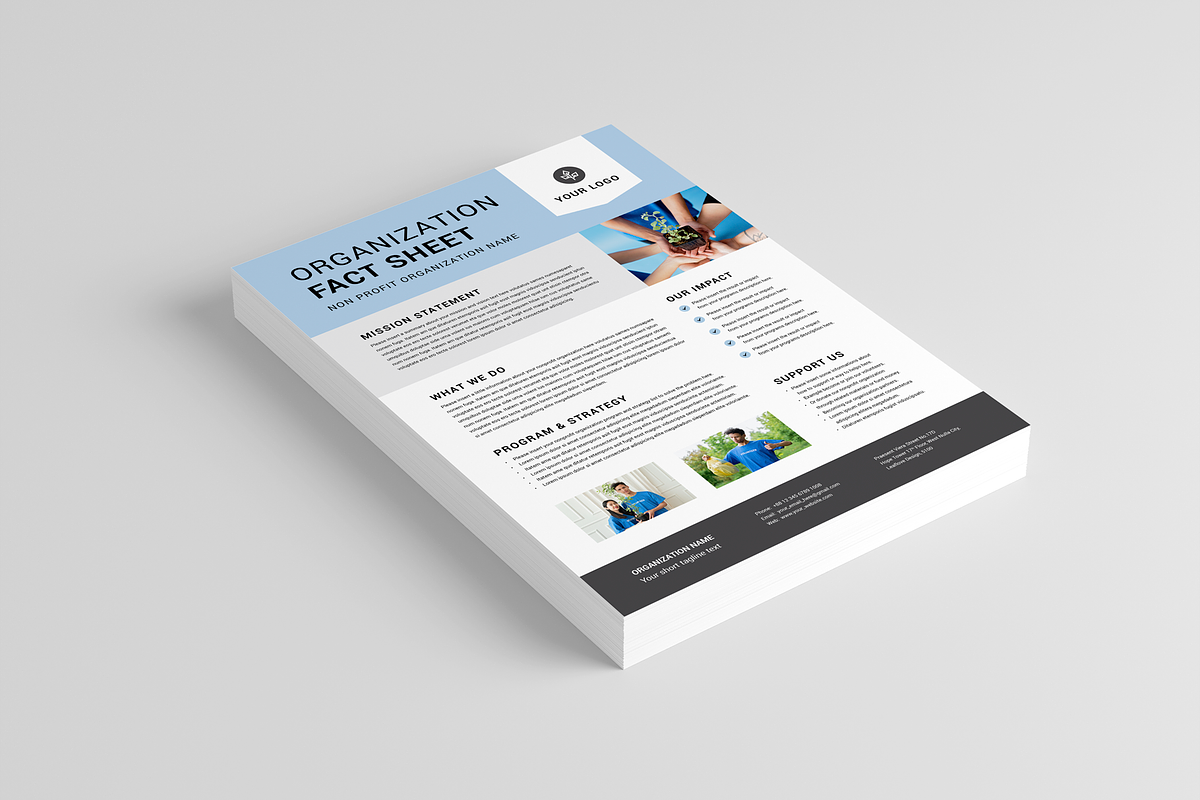 Nonprofit Organization Fact Sheet, a Flyer Template by Leaflove