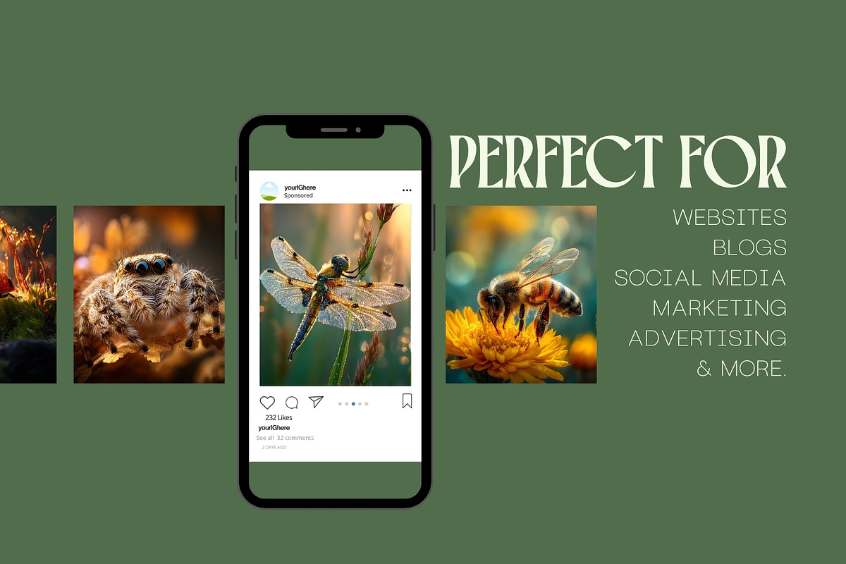 120 Macro Insect Stock Photos, an Animal Photo by Incomelion