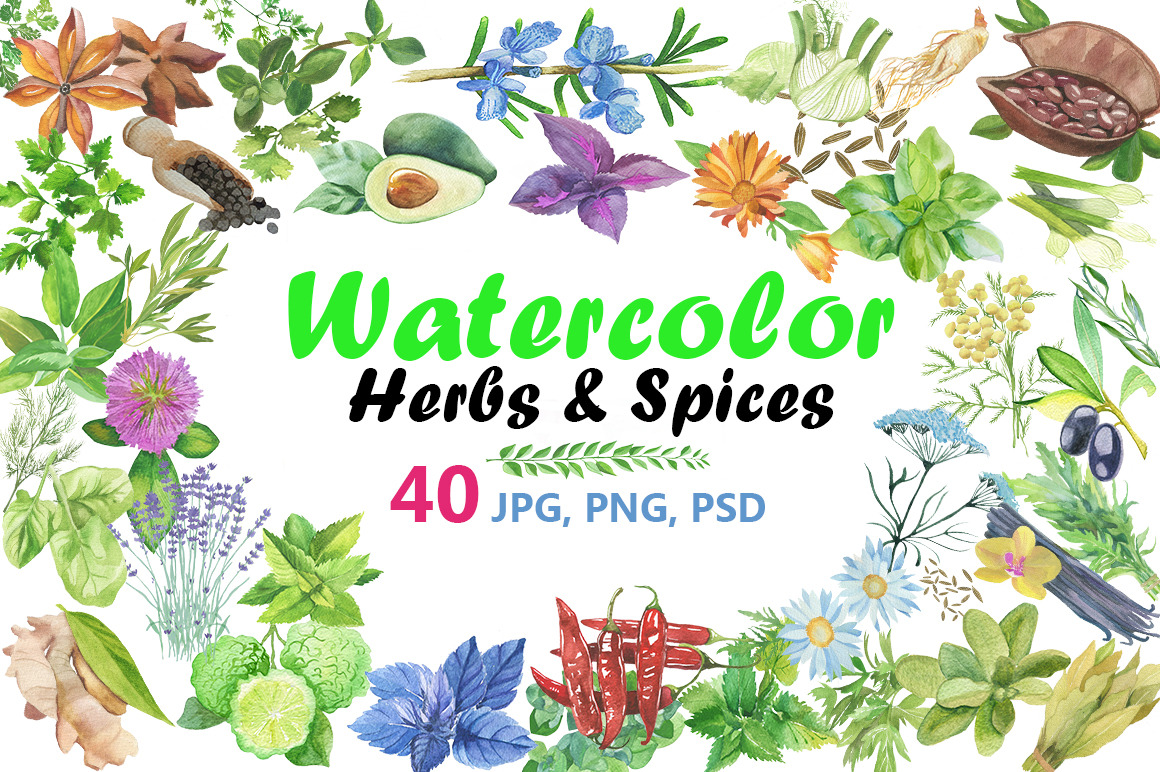 Watercolor Herbs & Spices Collection, a Food Illustration by Watercolor ...