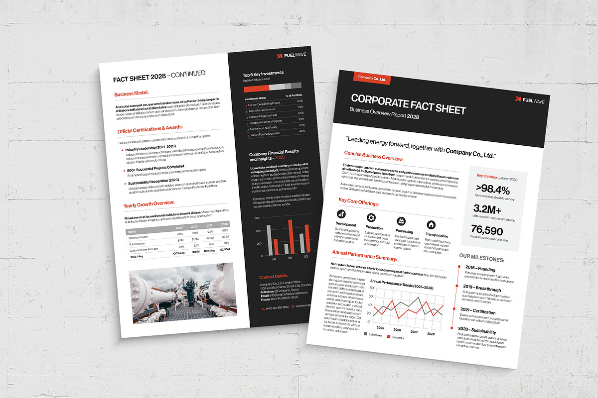 Factsheet Template, a Flyer Template by BrandPacks | Creative Market