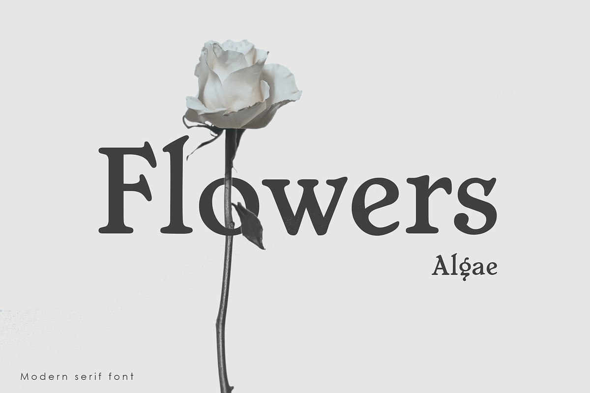 Algae font