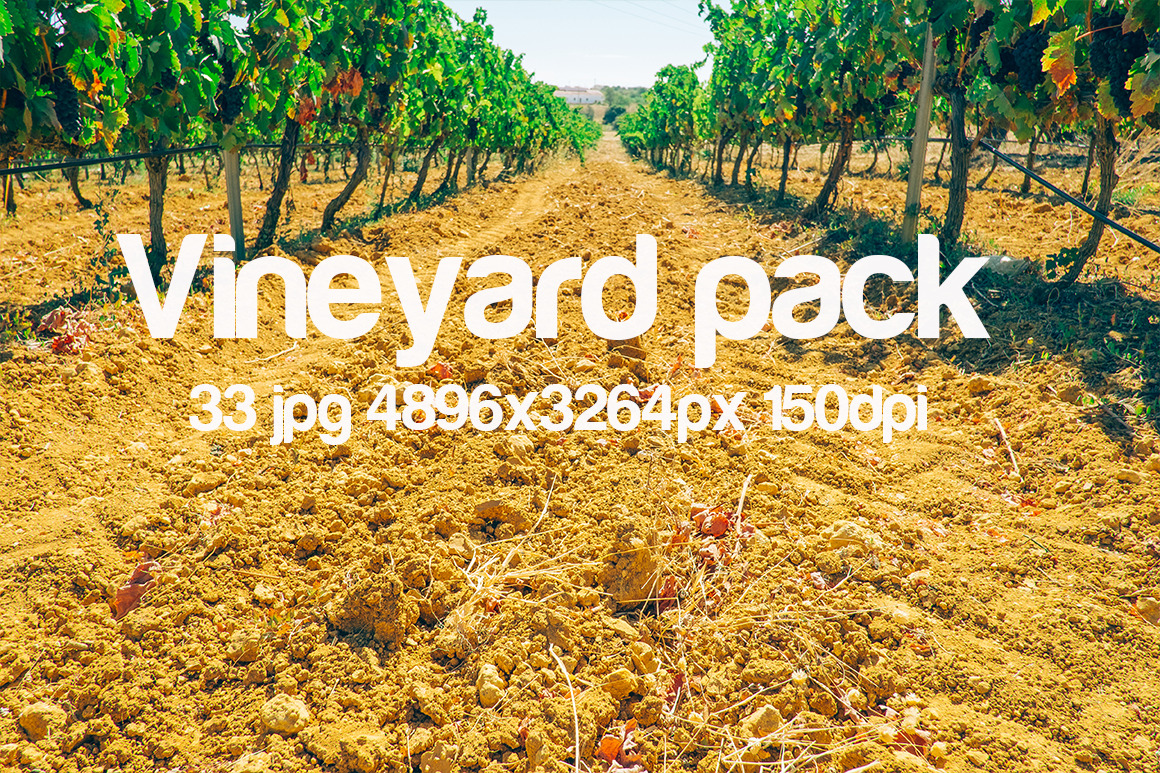 vineyard photo pack, a Templates & Theme by ApertureVintage | Creative ...