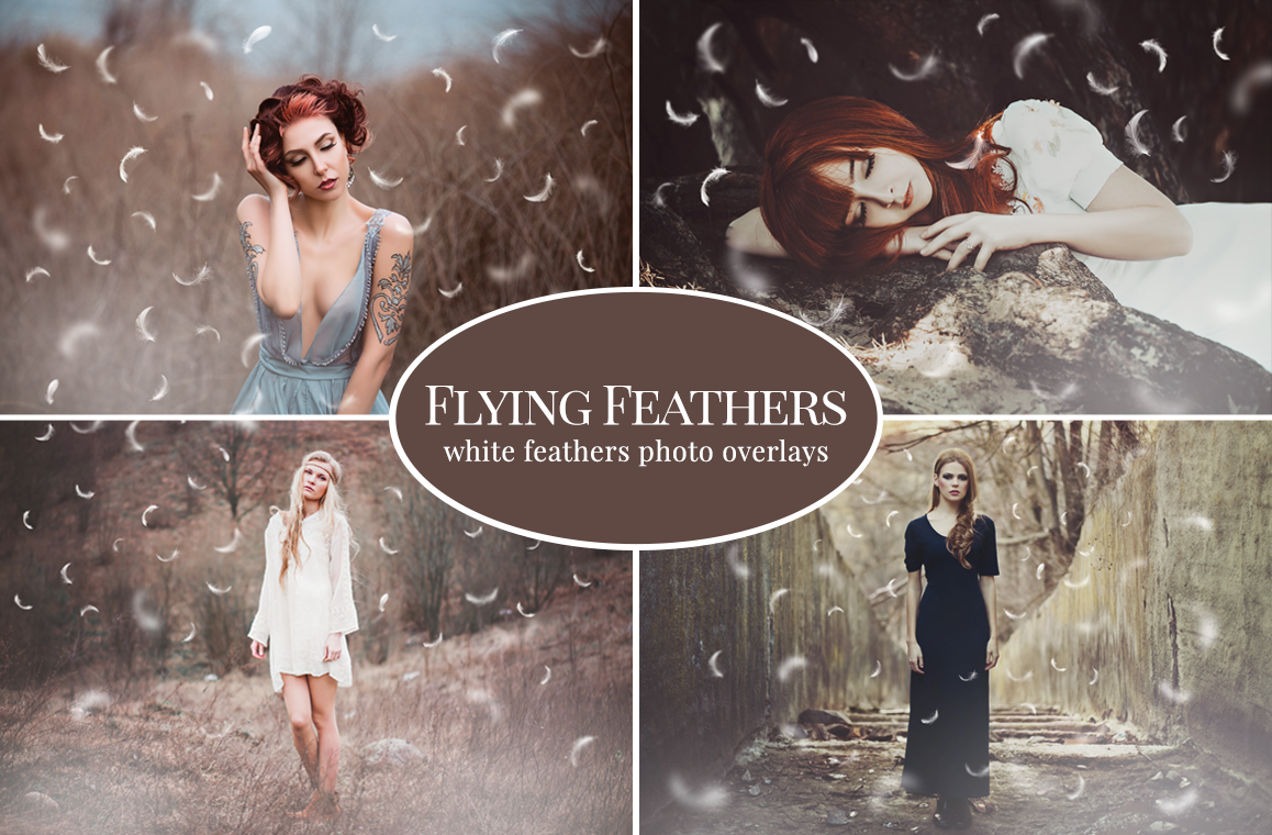 Flying Feathers photo overlays, an Object Graphic by BrownLeopard