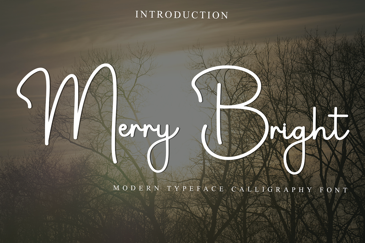 Merry Bright, a Handwritten Font by FreshTypeINK