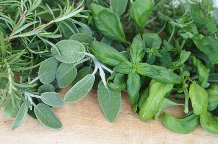 Sage for cooking, a Food & Drink Photo by Lifemorning