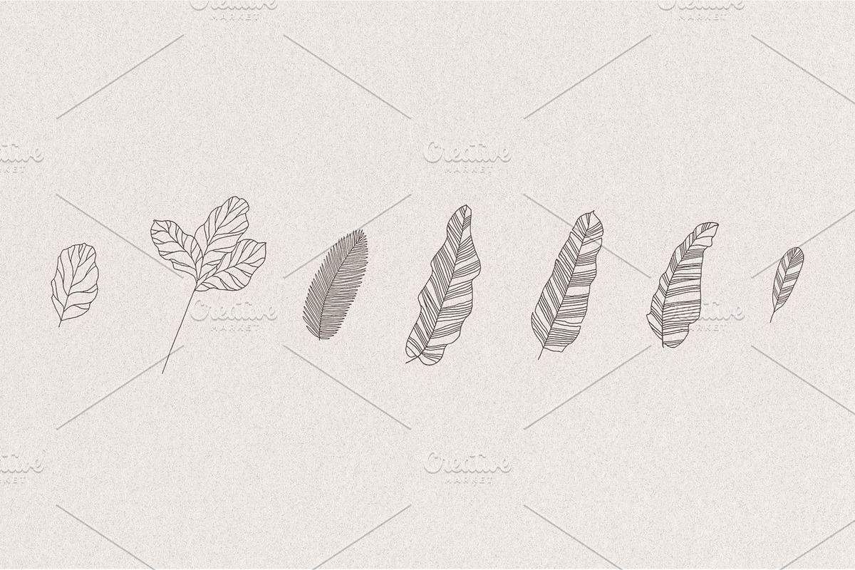 Set of hand drawn greenery, a Decorative Illustration by TheMountBirdStudio