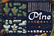 vector SET Pine tree, an Object Graphic by WINDmade