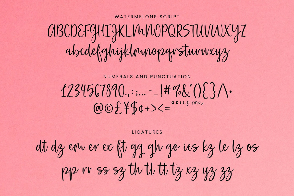 Watermelons Script Font, a Script Font by Peacelettering | Creative Market