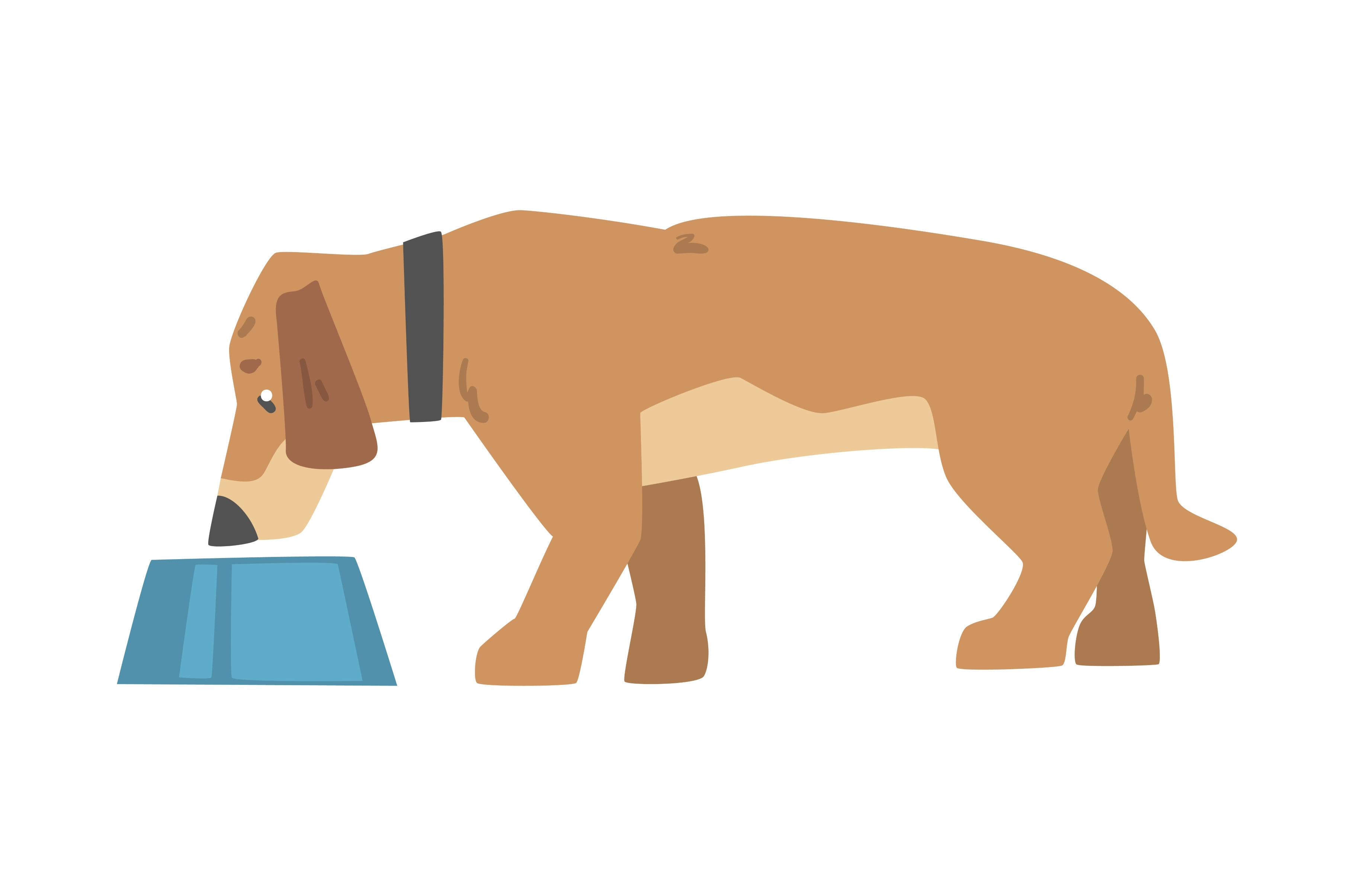 Side View of Dachshund Dog Eating, an Animal Illustration by TopVectors