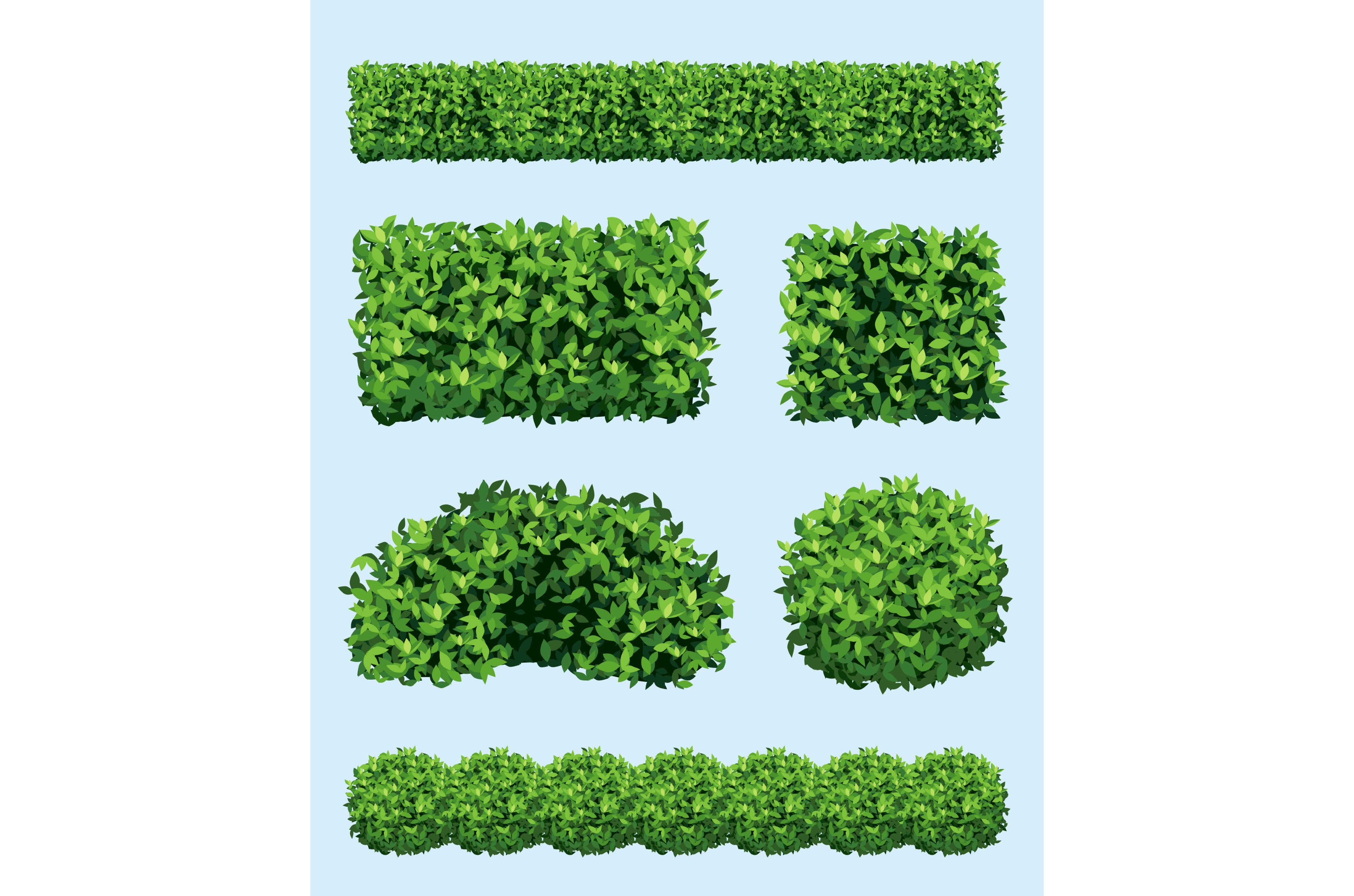Green shrub. Realistic garden plants | Background Graphics ~ Creative ...