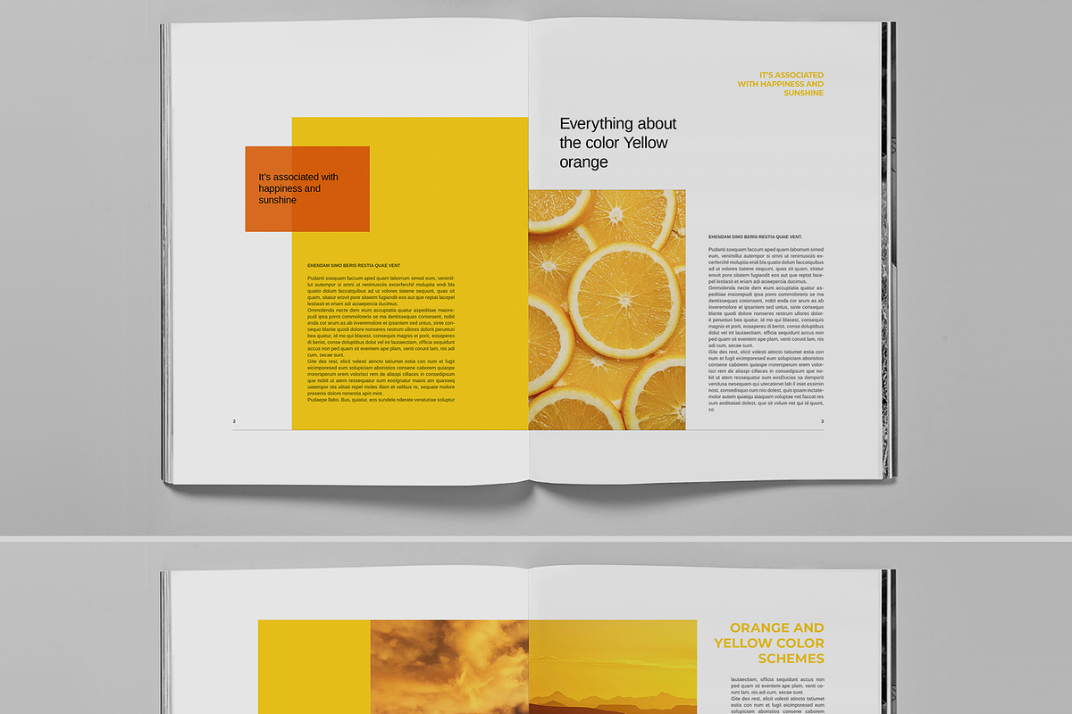 Yellow Color Palette Brochure Layout, a Brochure Template by Boris Cupac