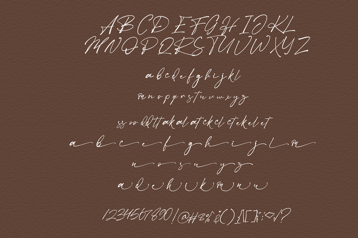 Betmo // Delight Calligraphy, a Script Font by Vultype Co.