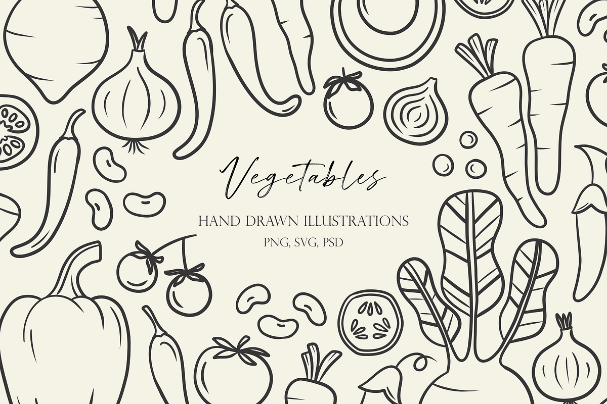 Hand Drawn Vegetable Illustrations, an Illustration by HonestiesPrintS