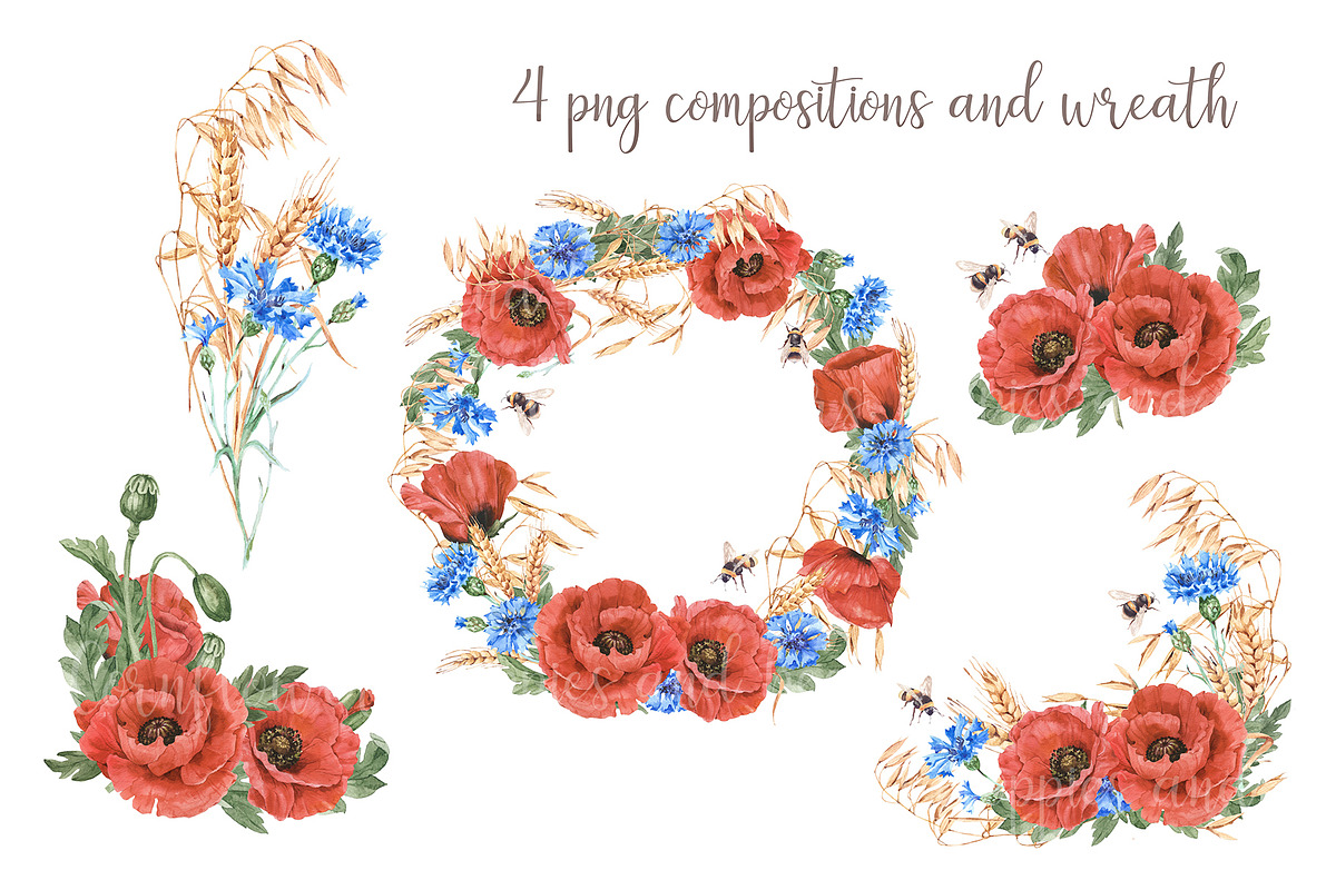 Watercolor poppies, cornflowers set, an Illustration by Alamella
