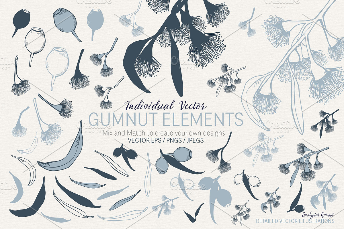 Hand Drawn Gumnut Flower Collection, an Illustration by Sketchbook Designs