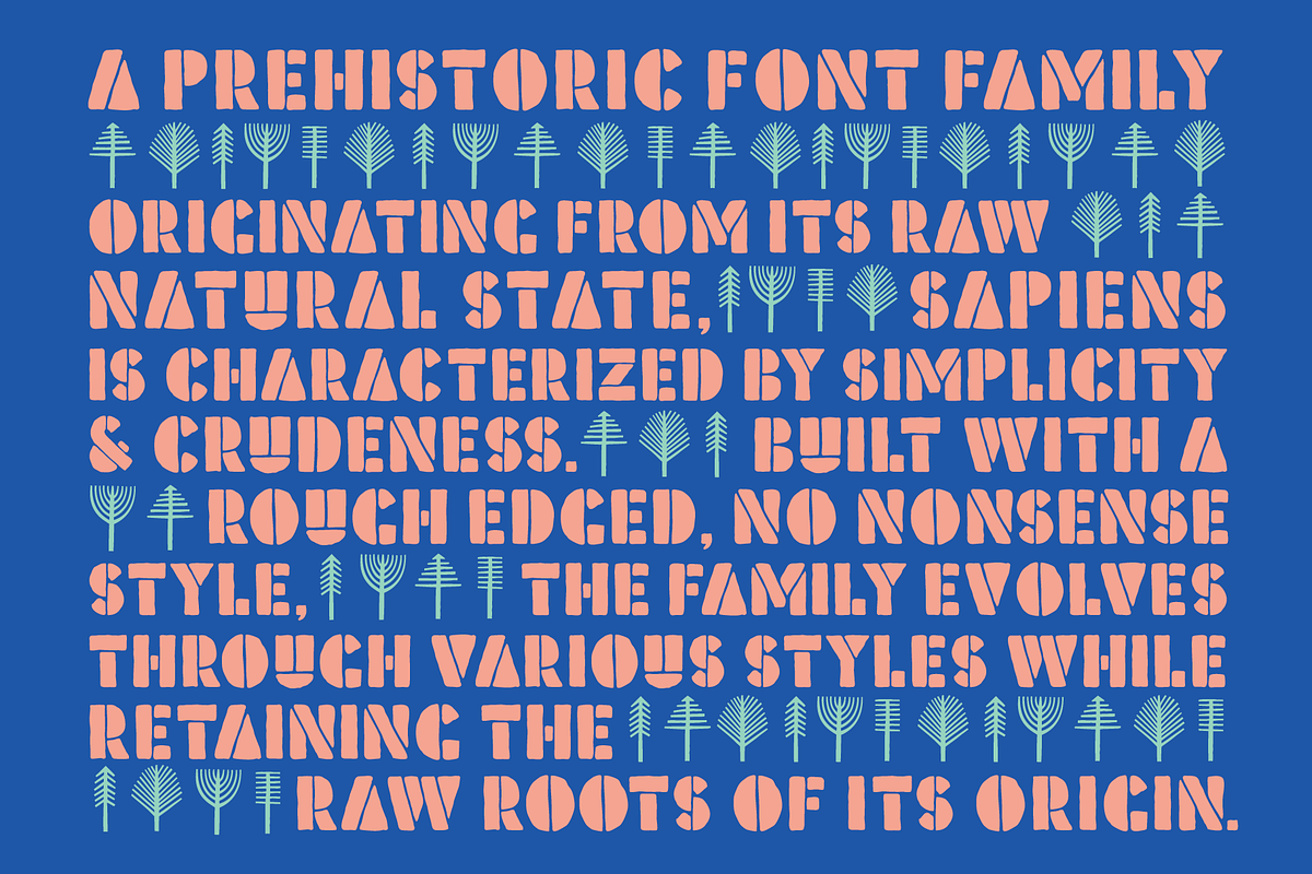 Sapiens Font Family, a Sans Serif Font by Hemphill Co
