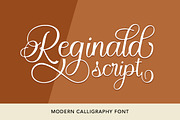 Reginald Script, a Script Font by Solidtype | Creative Market
