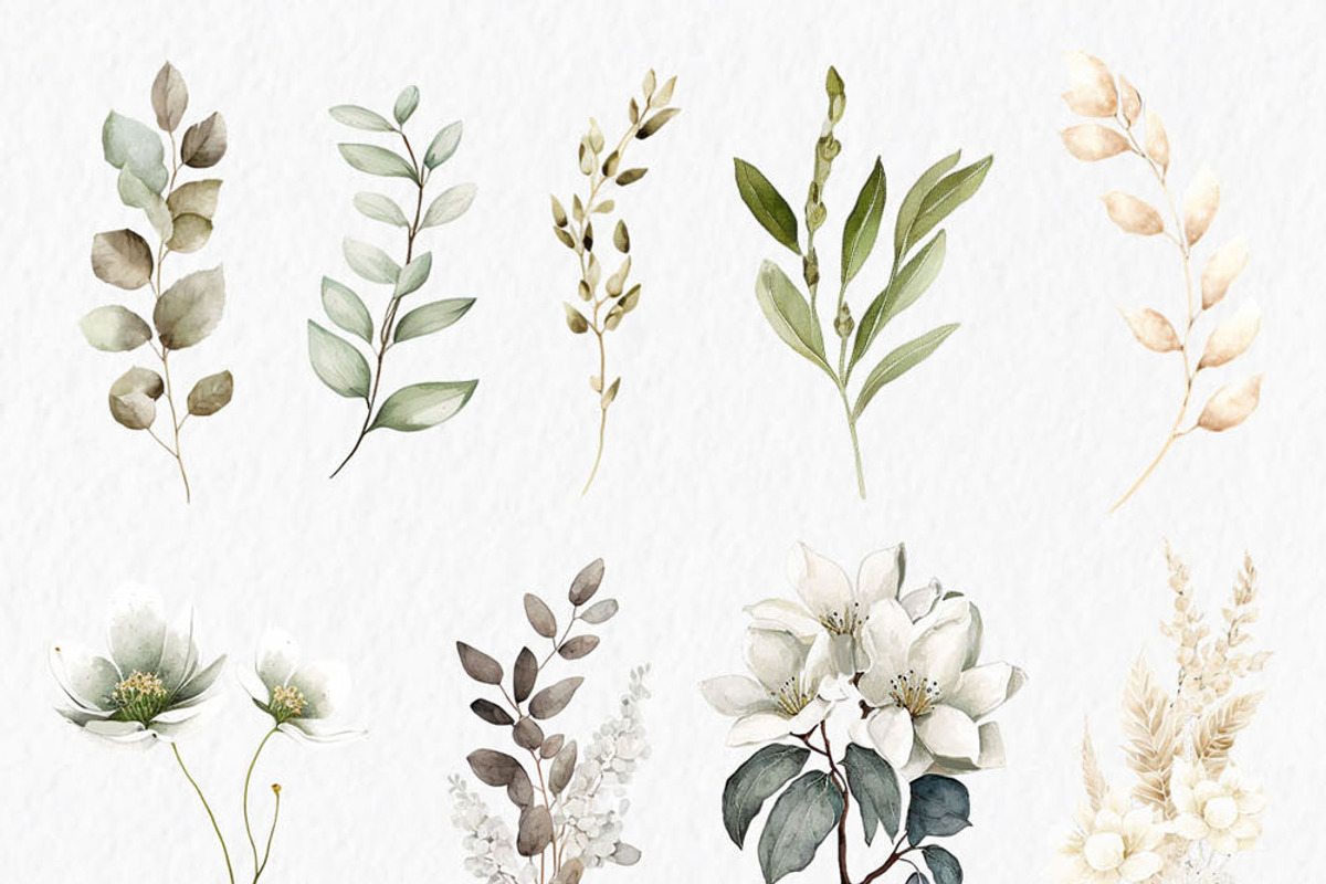 White flowers Watercolor Clipart PNG, an Object Graphic by MyLittleMeow