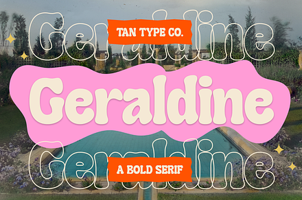 TanType A Creative Market Shop | tan font, tan fonts, tan type