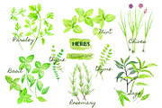 Watercolor Clipart Herb Collection, an Illustration by Corner Croft