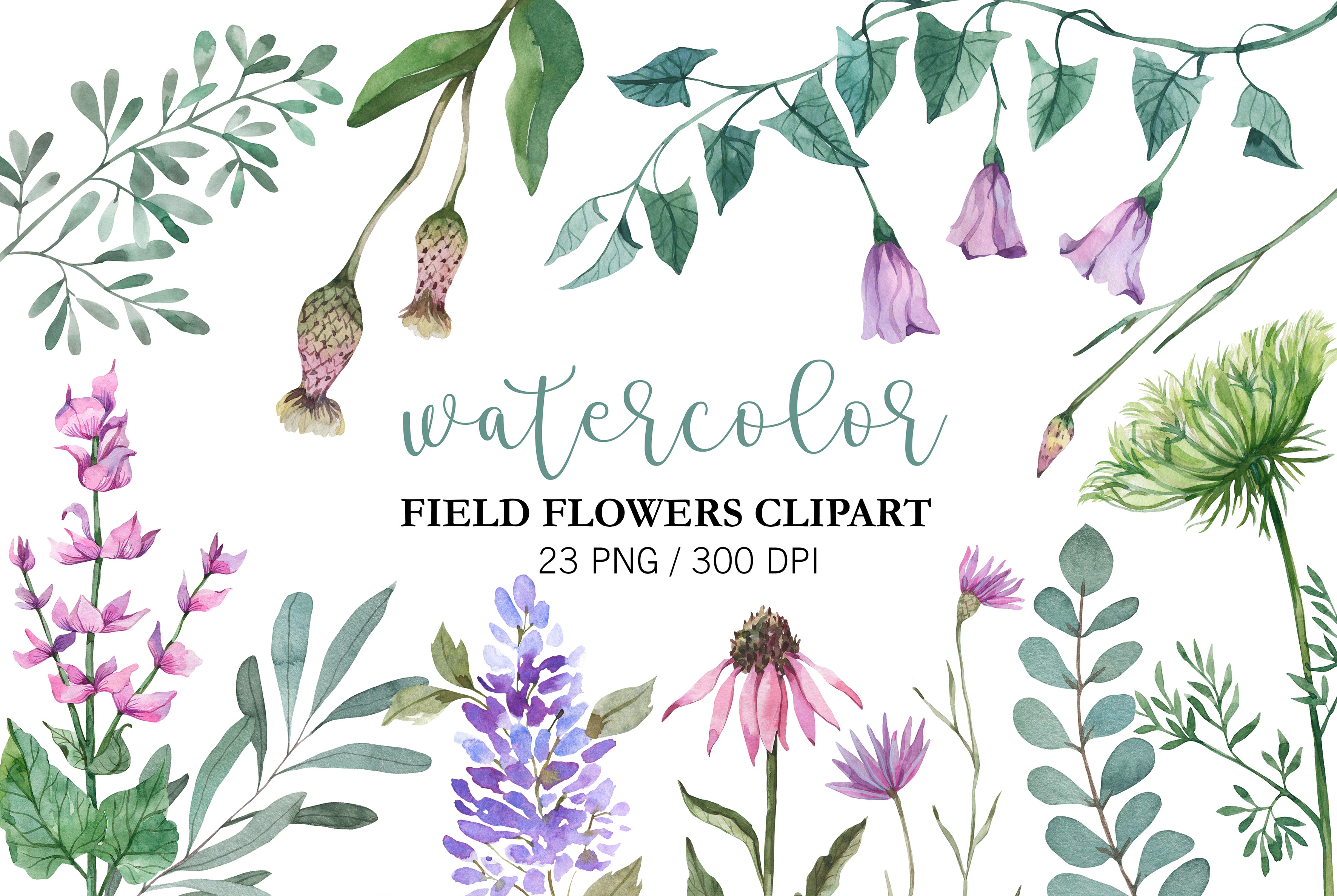 Watercolor Wildflowers Clipart PNG
