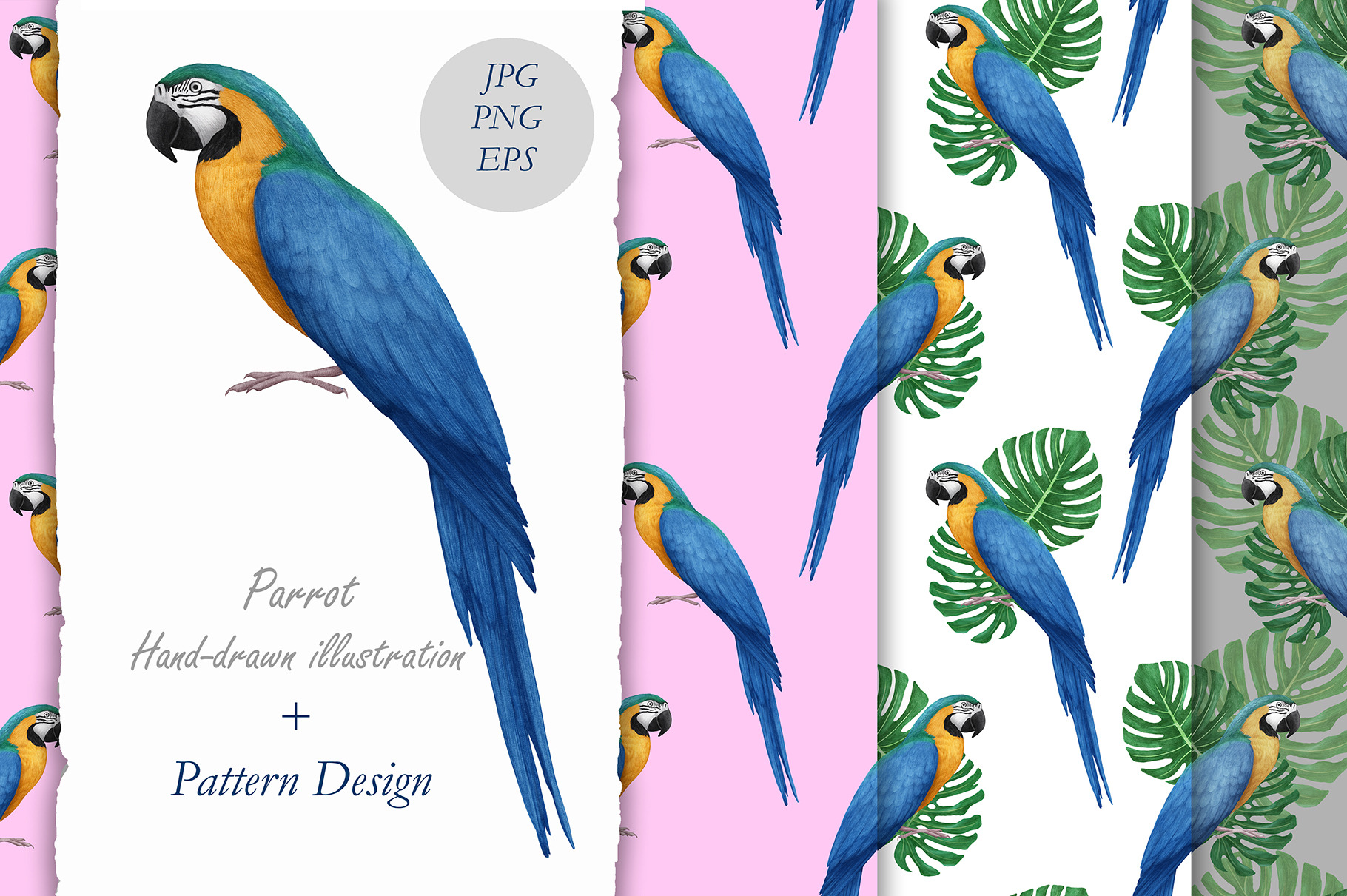 Parrot // Pattern Design, a Pattern Graphic by Victoria_Novak ...