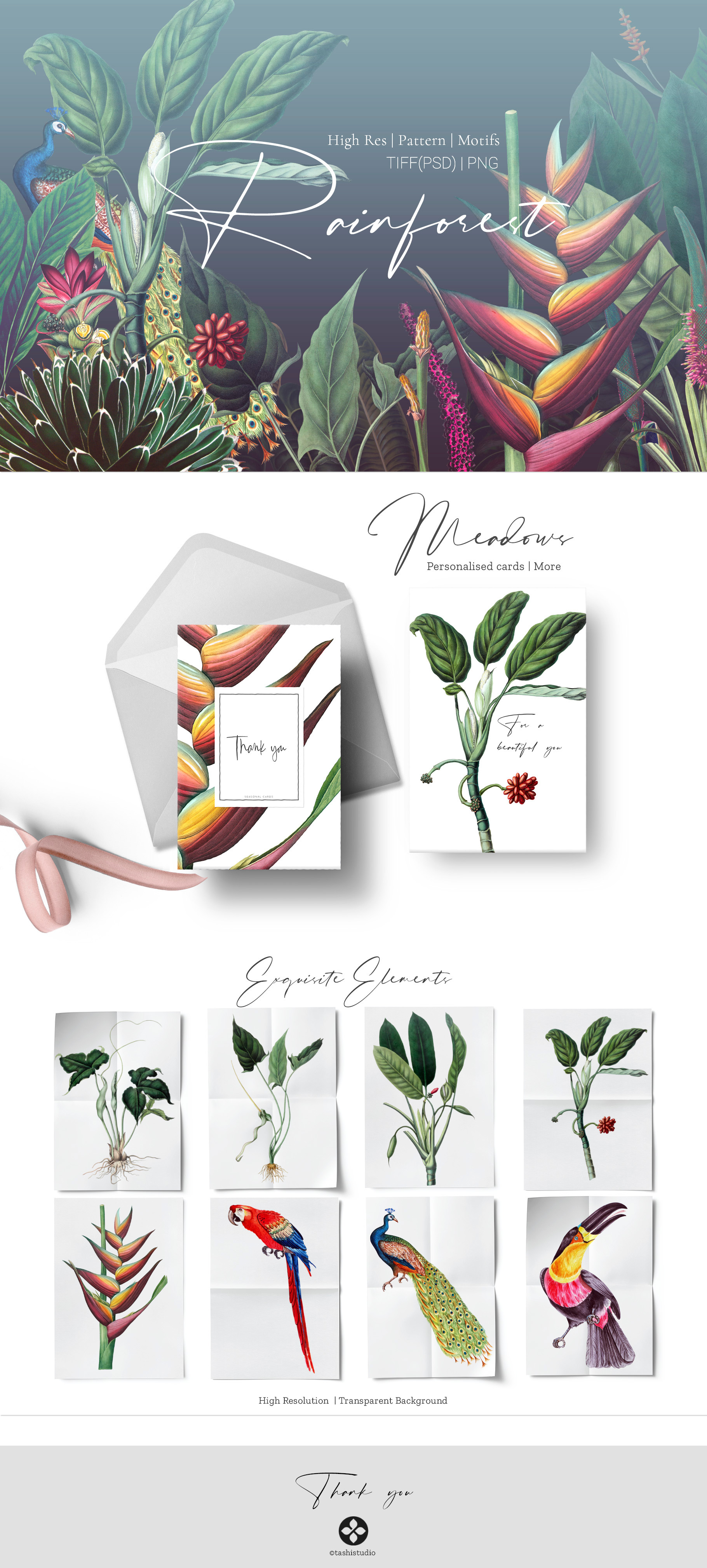 Rainforest Tropical Pattern set!, a Pattern Graphic by TSTUDIO