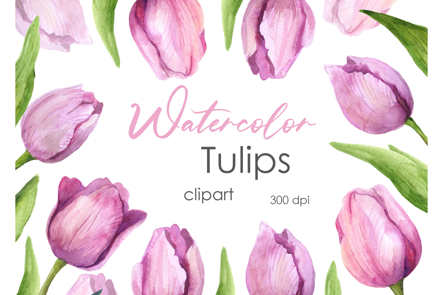 Watercolor Clipart. Floral Tulip art, a Decorative Illustration by ...