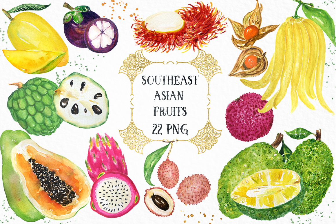 Tropical Asian fruits watercolors, a Food Illustration by LABFcreations