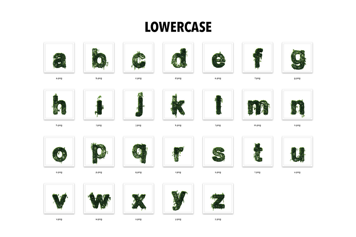PSD Ivy Leaves 3D Letters, an Object Graphic by GK Creative