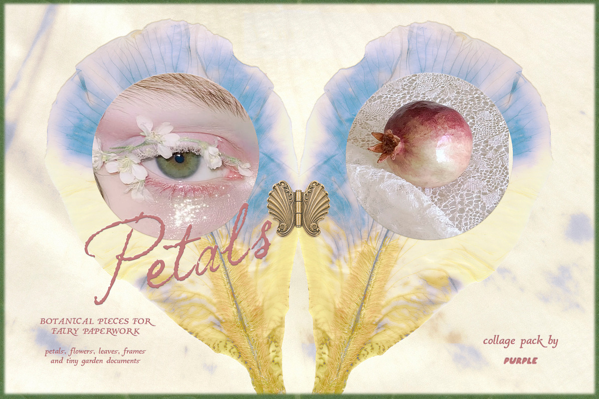 Petals Garden Collage Kit, an Object Graphic by Purple
