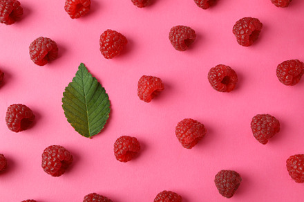 Red ripe raspberries and green leaves on a white background. Vie | Food ...