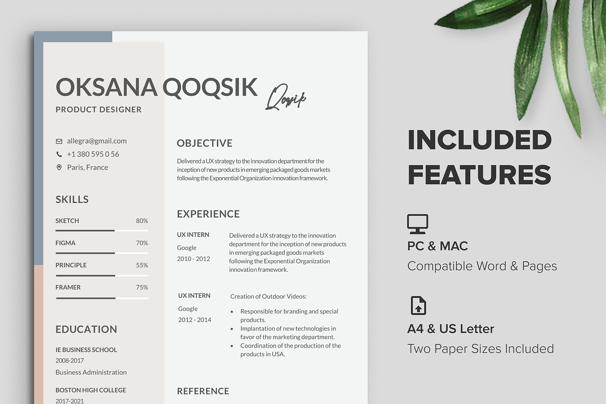 Customizable CV / resume template