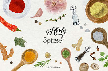 Spices and Herbs. Vector | Illustrations ~ Creative Market