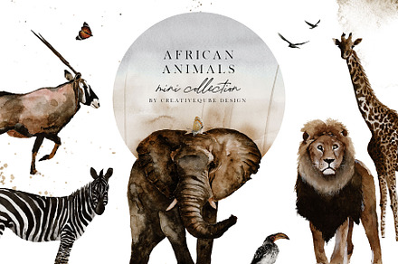 Vintage African Animals Clipart | Animal Illustrations ~ Creative Market