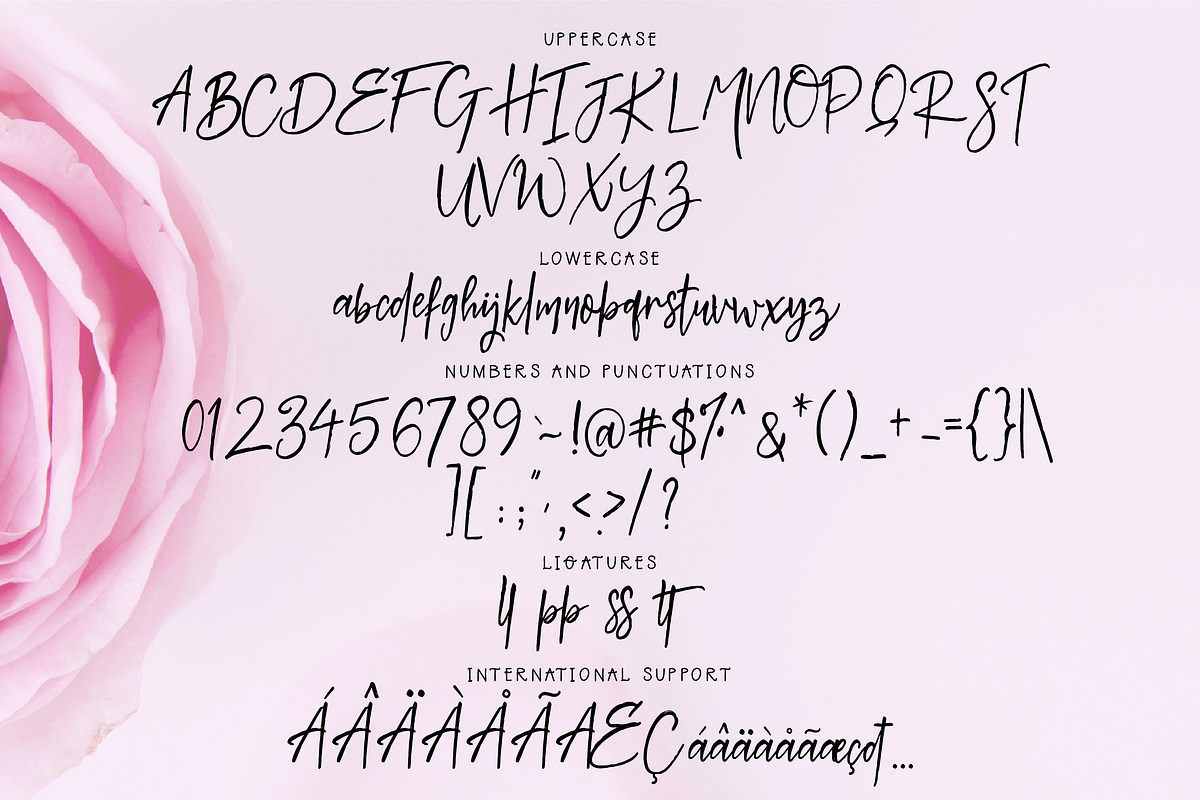 Ciao Bella Font + Extras, a Script Font by theinkaffair | Creative Market