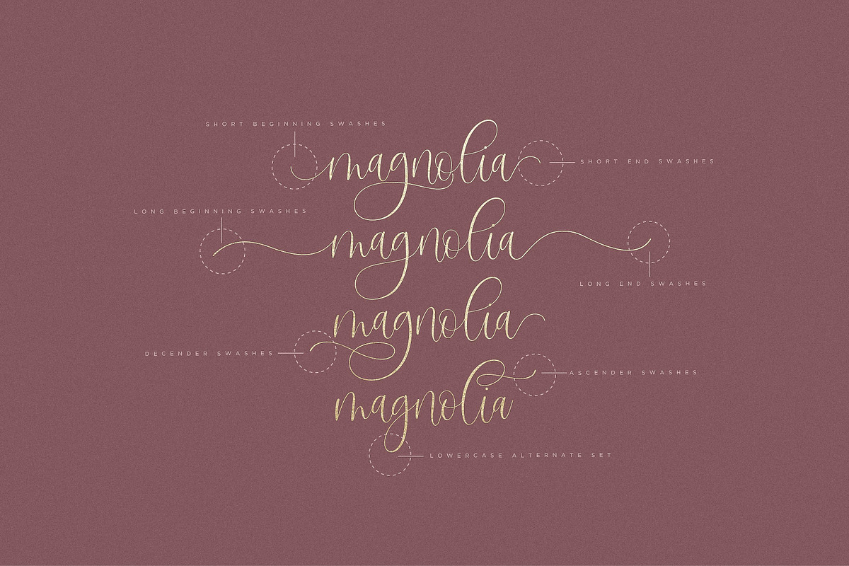 Sangria Script Font, a Script Font by The Styled Script
