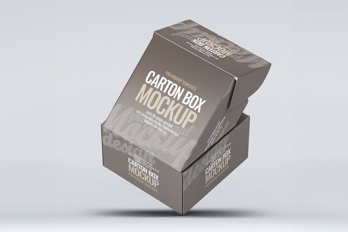 Carton Box Mock-Up