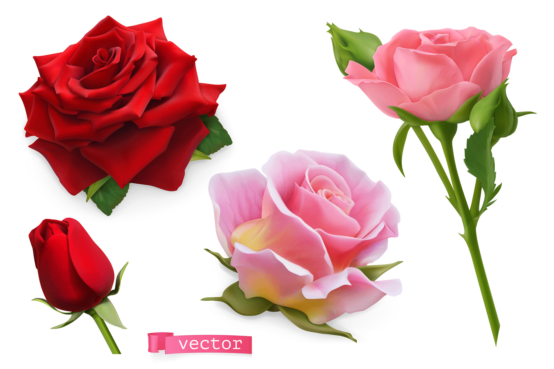 Roses, vectors set. Romantic symbol, an Icon by Allevinatis Studio ...