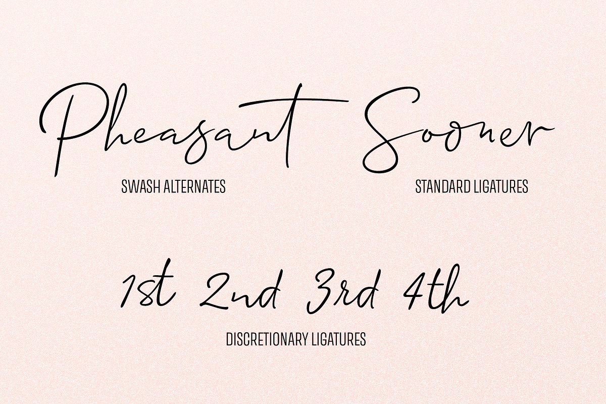 Allison Script, a Script Font by Fenotype