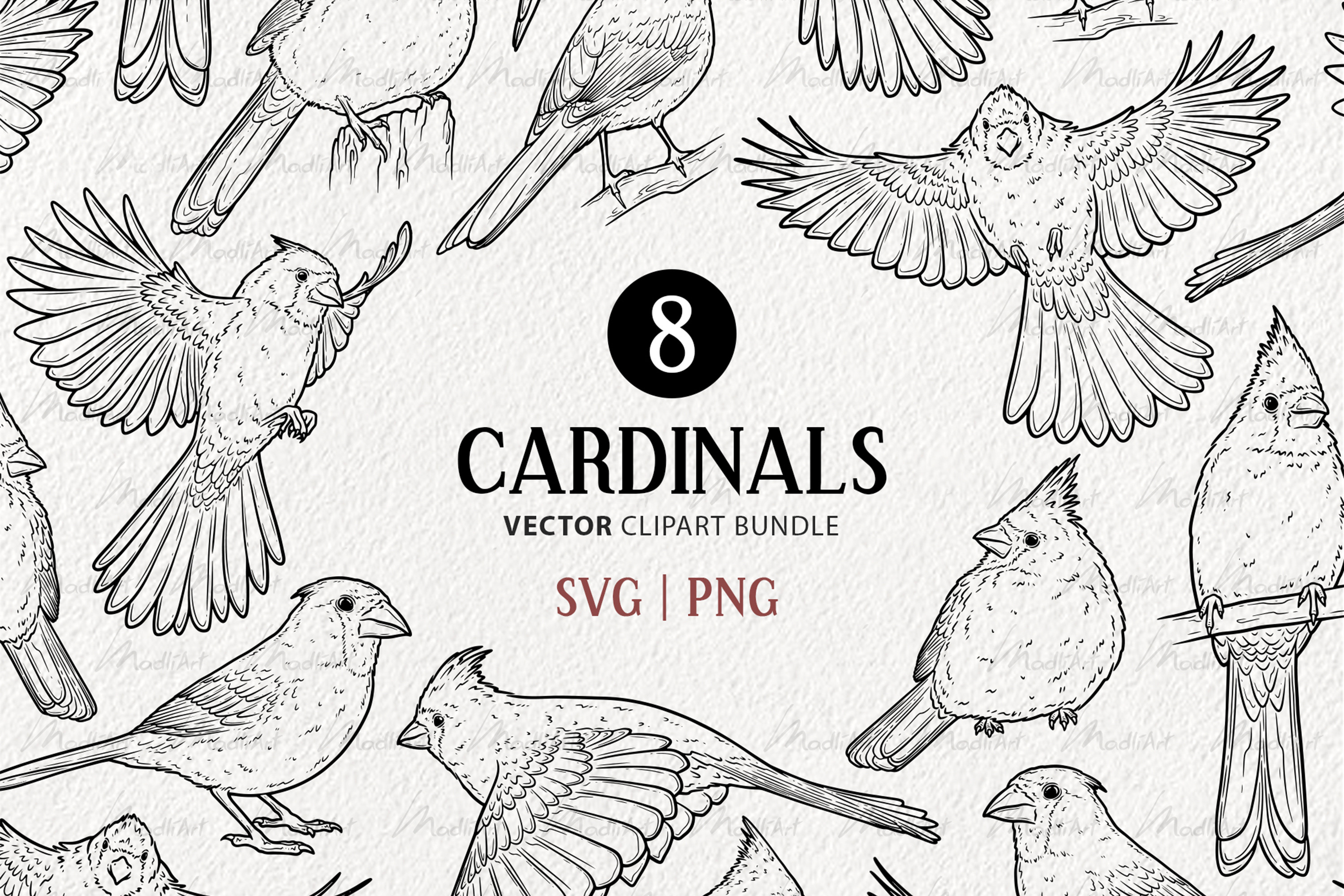 Cardinals Vector Line Art Set, an Illustration by MadliArt