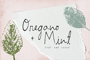 Oregano and Mint Font and Logos