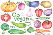 Watercolor Vegetables Clipart | Food Illustrations ~ Creative Market