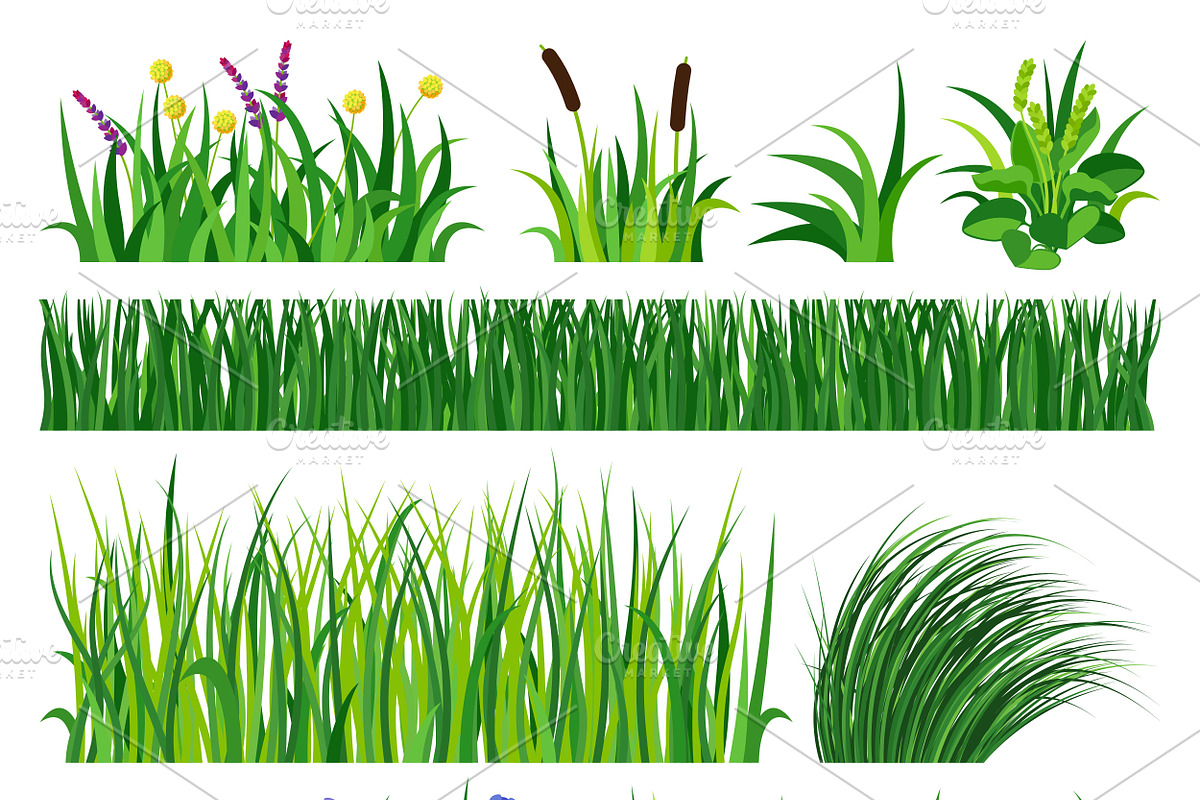 Green grass showing roots vector, a Texture Illustration by RocketArt