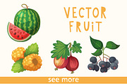 19 Vector Berries, a Food Illustration by Moonery's