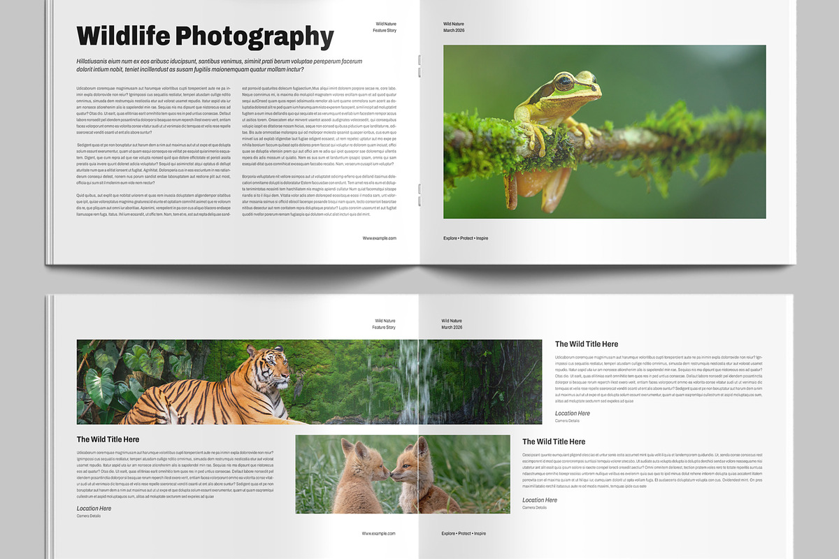 Wildlife Magazine Template