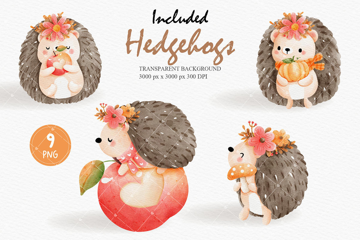 Autumn hedgehogs clipart, an Animal Illustration by Chonnieartwork