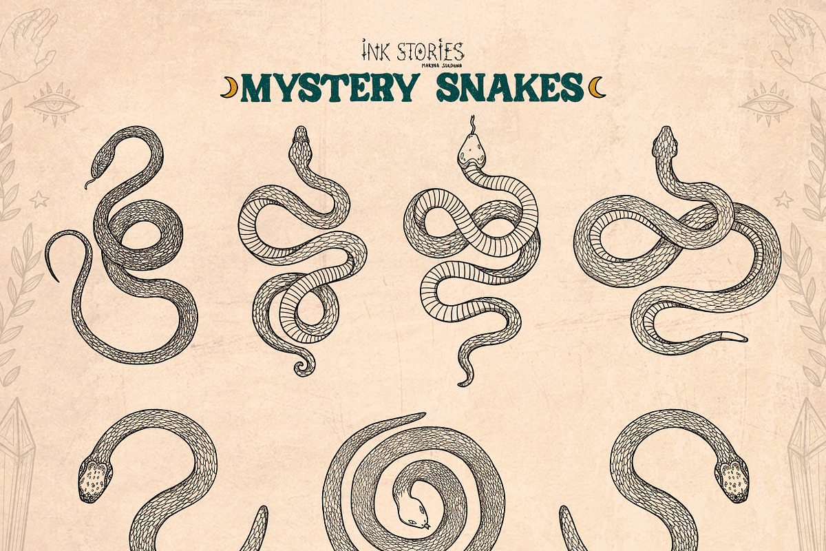 Mystery Snakes, an Animal Illustration by Ink Stories