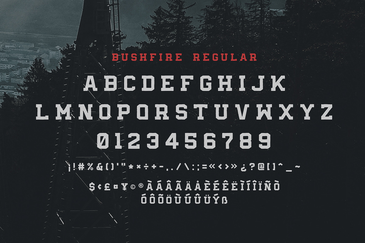 Bushfire - 4 Font Family, a Slab Serif Font by Greg Nicholls