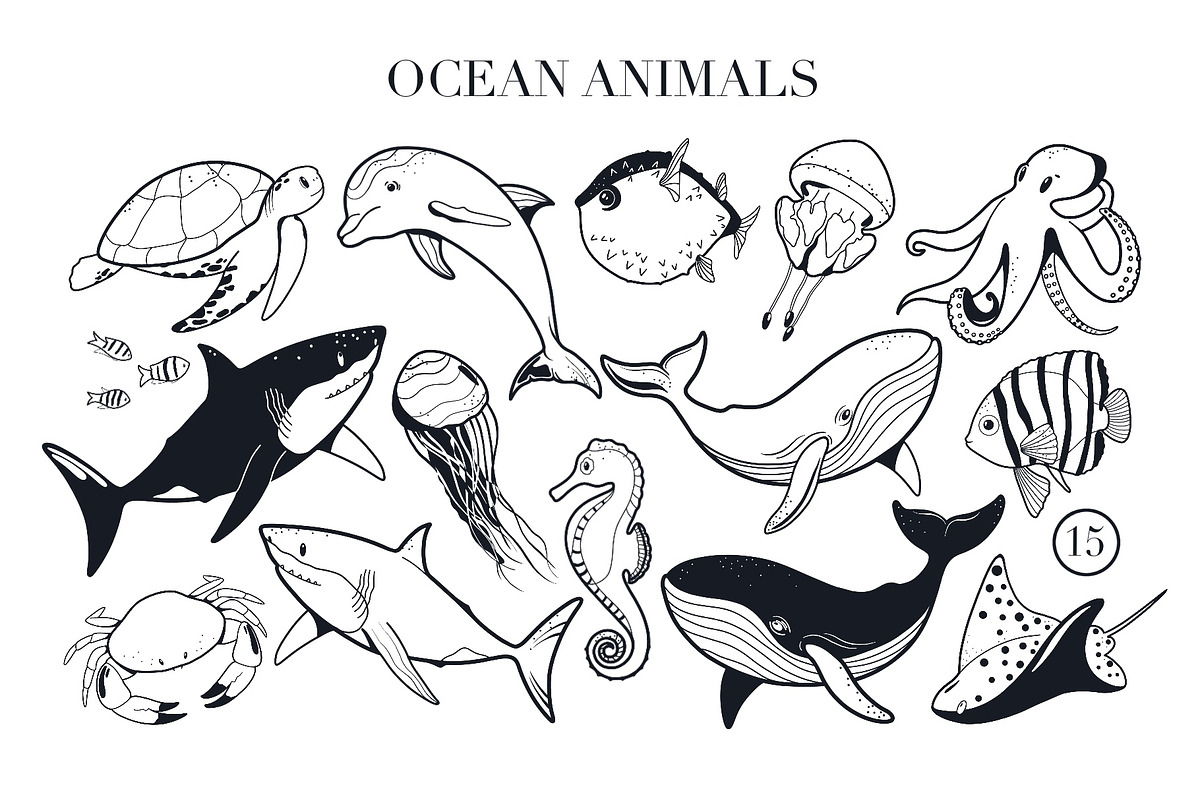 Ocean Life Animals Black and White, an Object Graphic by ArtGiftsStudio